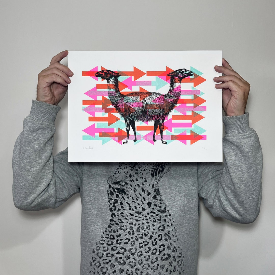 Push Me Pull You - Screen Printed Poster - Neon Pink, Turquoise, Red ...