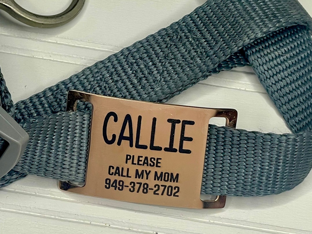 Collar Dog Tag, Silent Dog Tag, Slide on Dog Tag, Slide Collar Tag ...