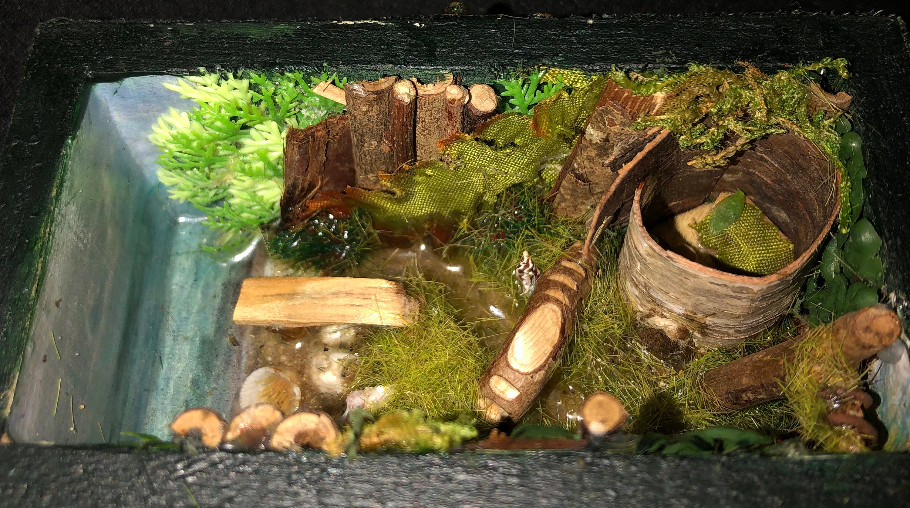 Victorian Sprite Box, (small) - Etsy