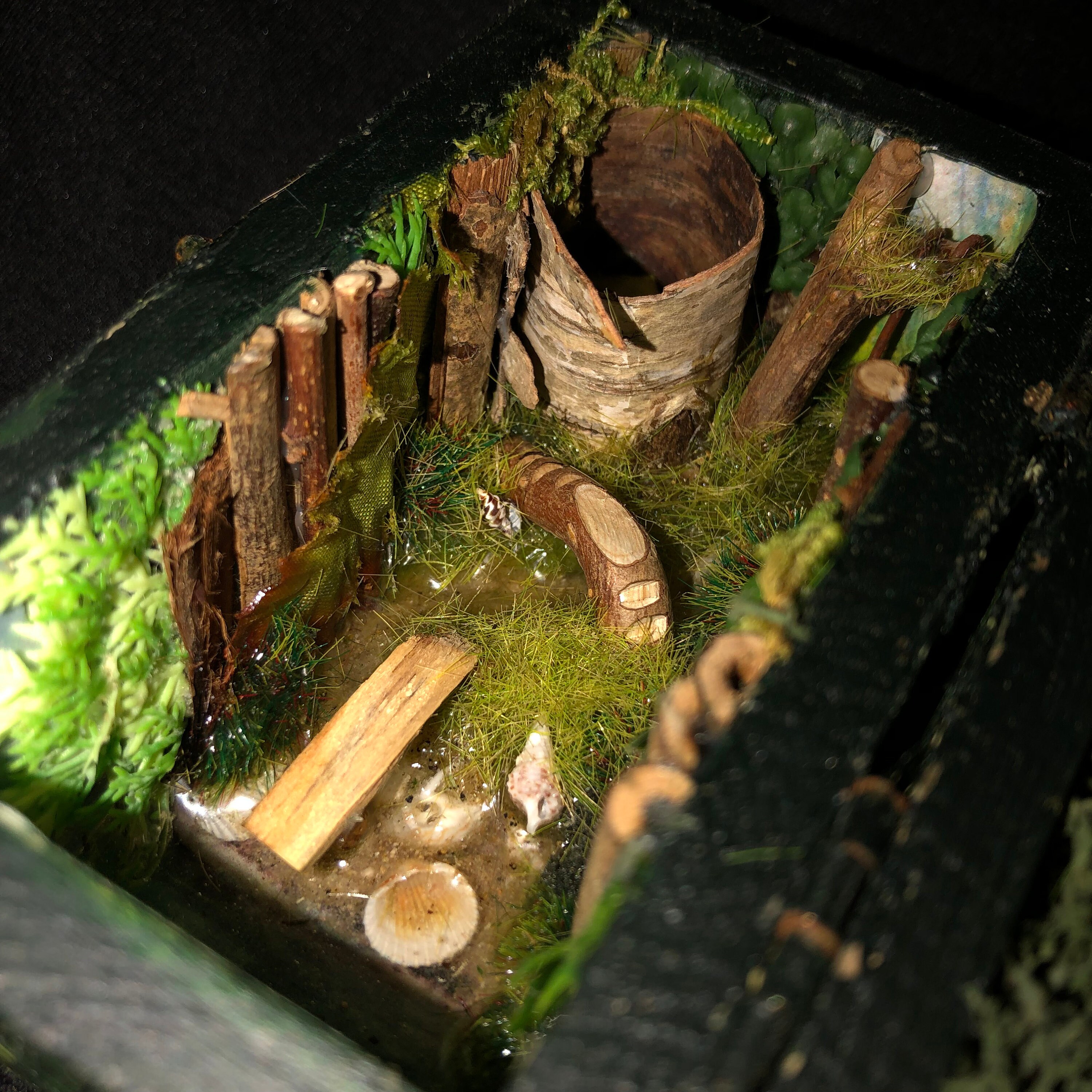 Victorian Sprite Box, small - Etsy