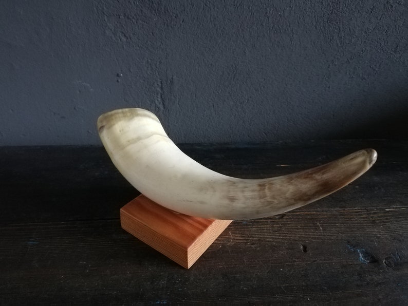 Decoración de cuerno natural con paleta de madera diseño escandinavo ...