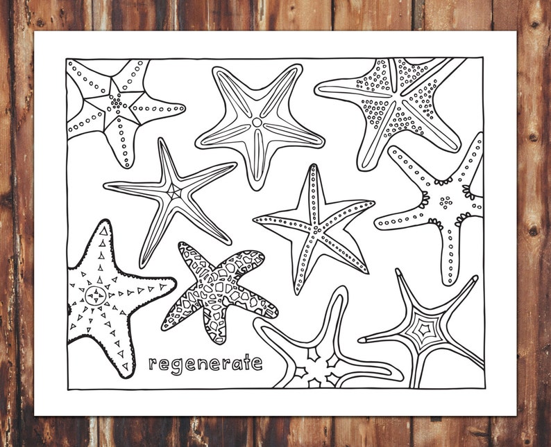 Regenerate Coloring Page - Etsy