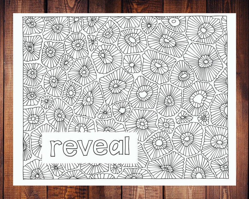 Reveal Coloring Page - Etsy