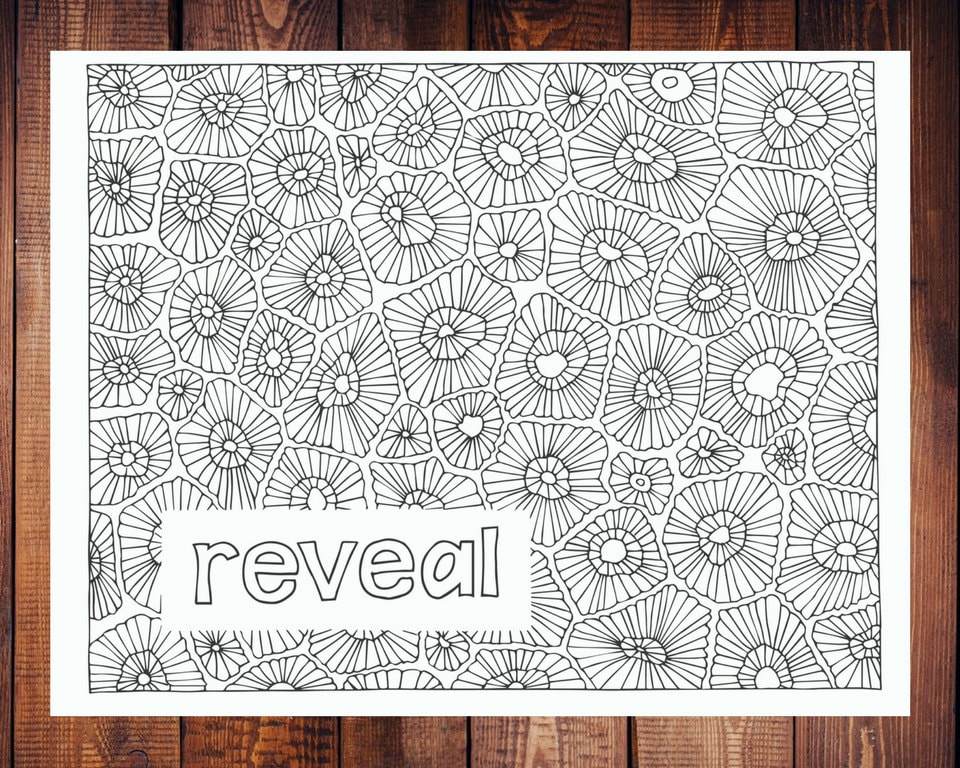 Reveal Coloring Page - Etsy