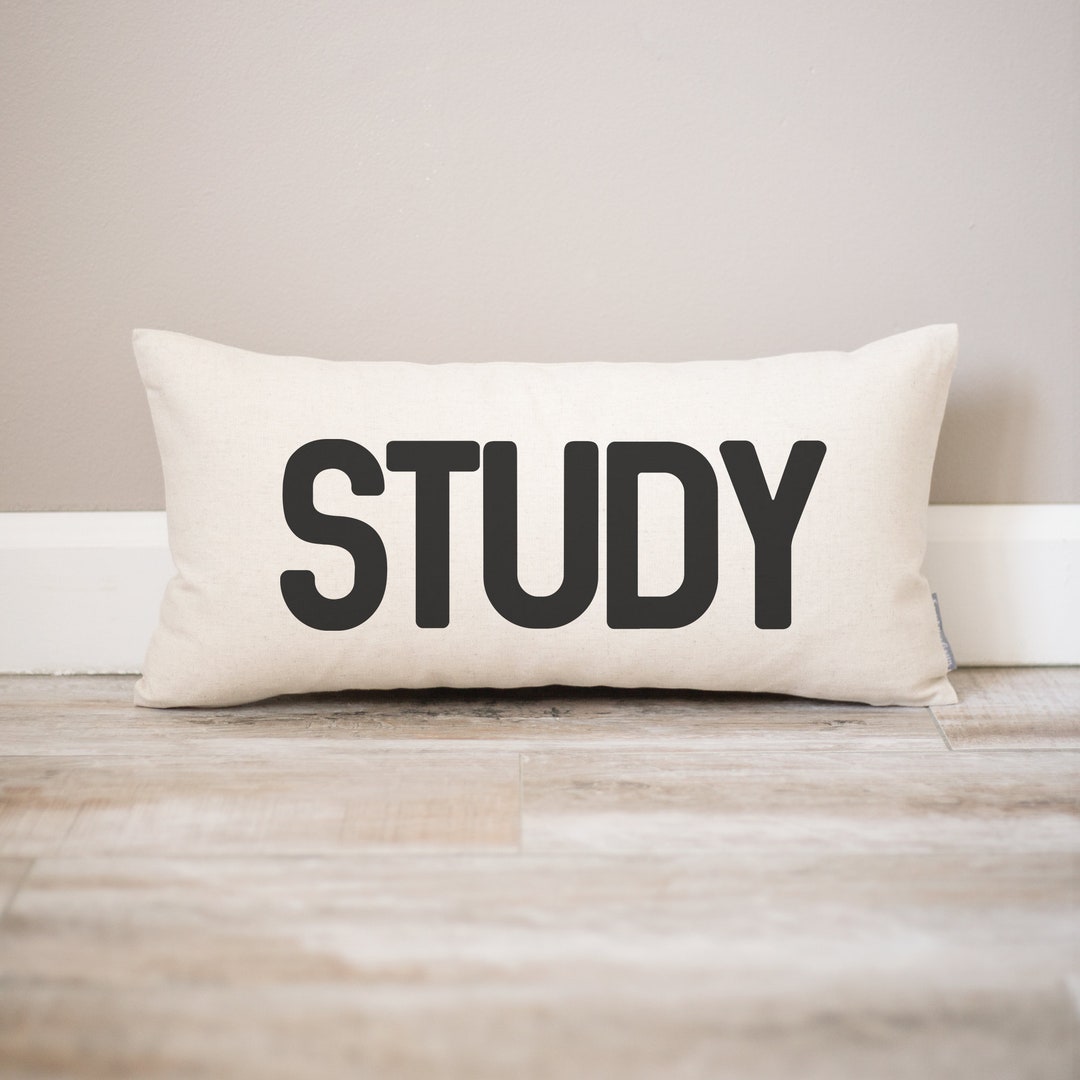 Study Dorm Decor Pillow | Dorm Decor Graduation Pillow Gift ...