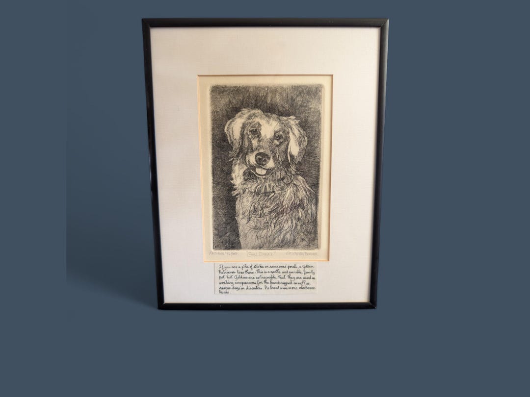 Golden Retriever Etching by Gauthier/parker Signed Numbered 42/300 ...