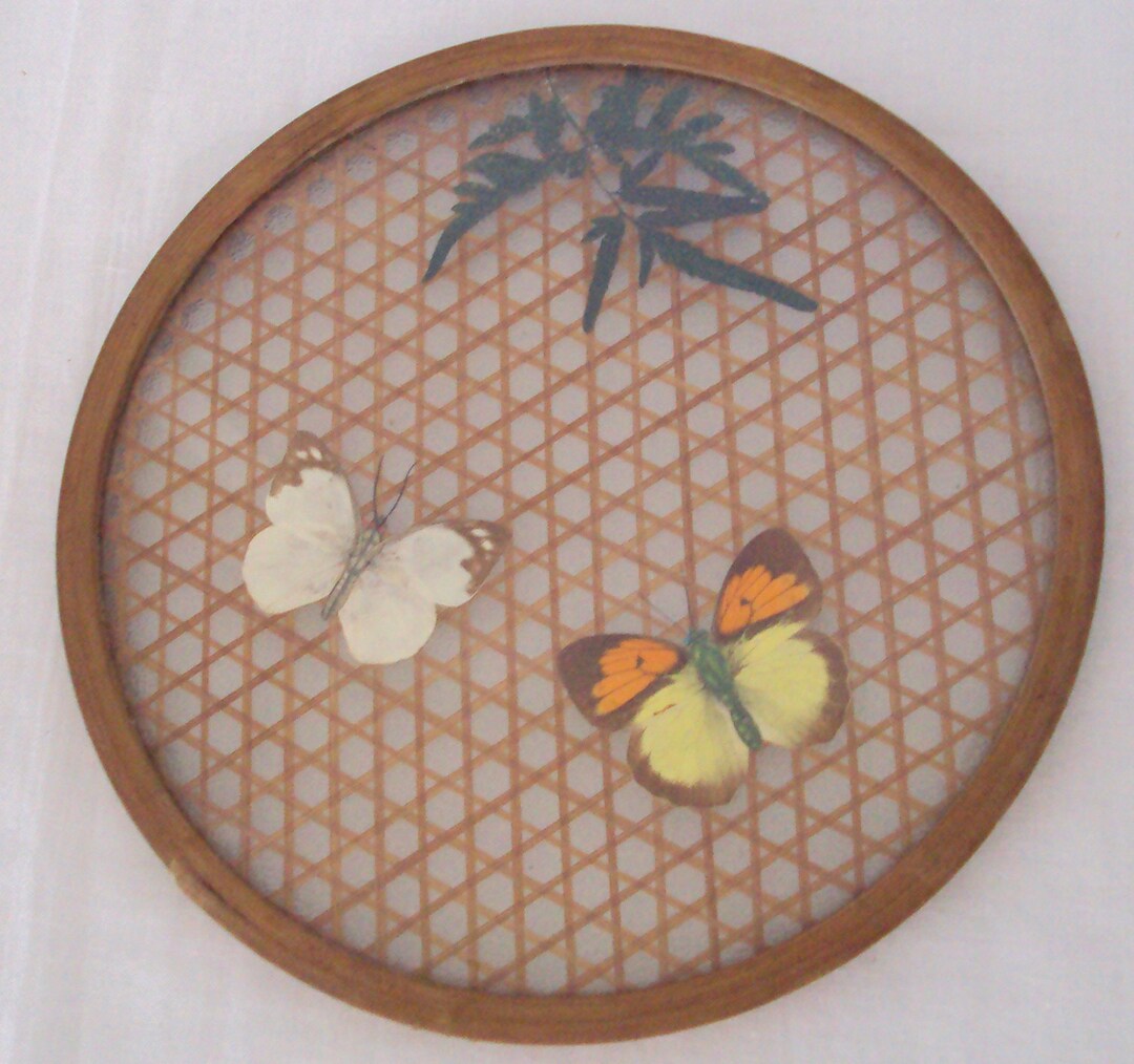 Vintage 1950s Hand Crafted Round Caned Trivet or Hot Plate W Real ...