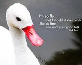 So Fly Rick Ross Rap Photography Lyrics Large Wall Art - Etsy