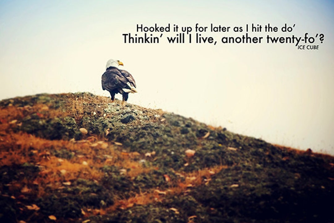 It Was a Good Day - Ice Cube, Rap Photography, Lyrics, Large Wall Art ...