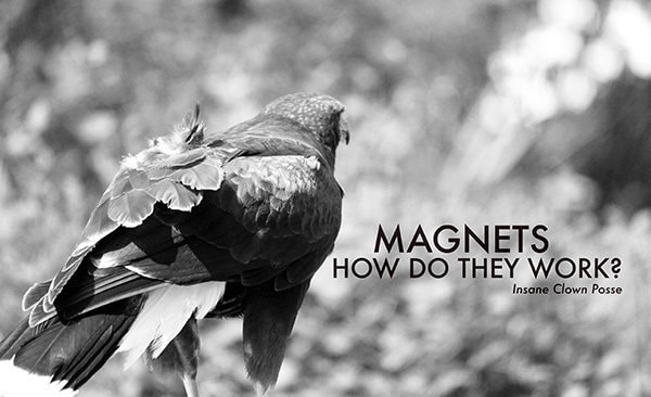 Magnets - Insane Clown Posse, ICP, Rap Photography, Lyrics, Large Wall ...