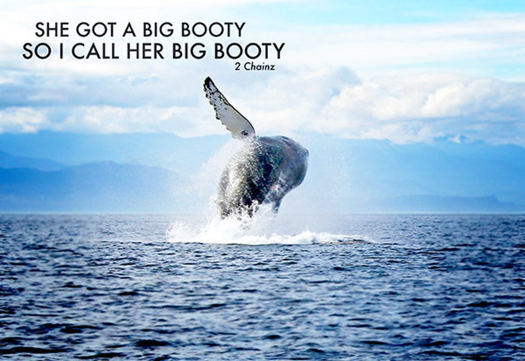 Big Booty Ho 2chainz, Rap Photography, Lyrics, Large Wall Art Print ...