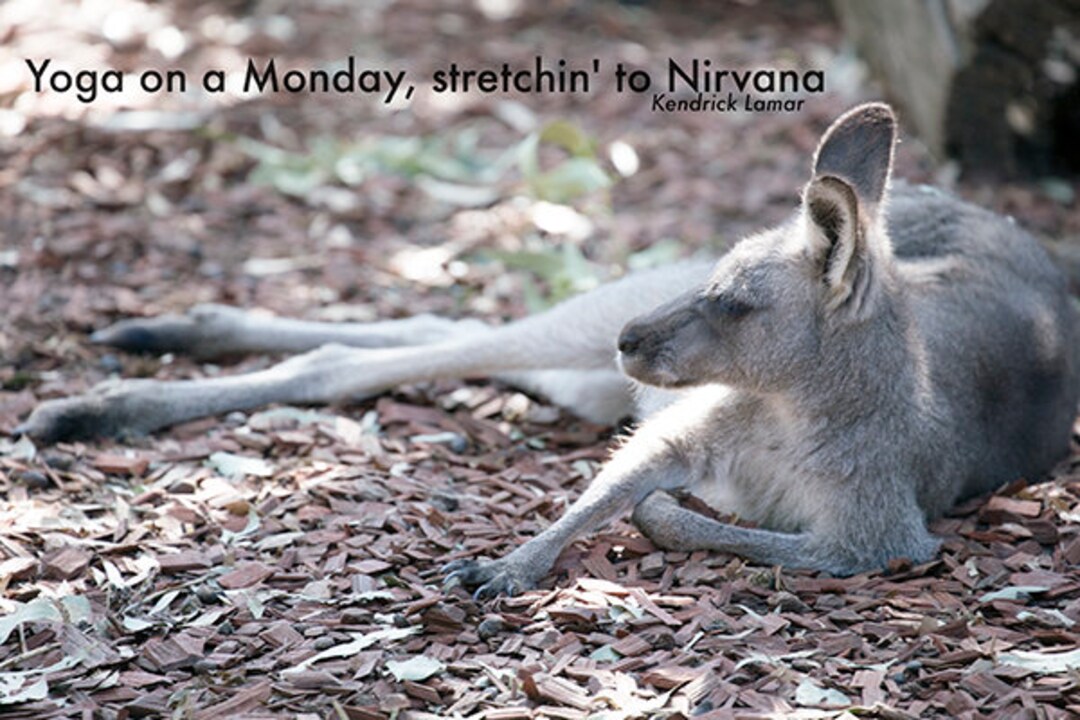 DNA - Kendrick Lamar, Rap Photography, Lyrics, Large Wall Art Print ...