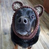 Dog Snood Pattern - Etsy