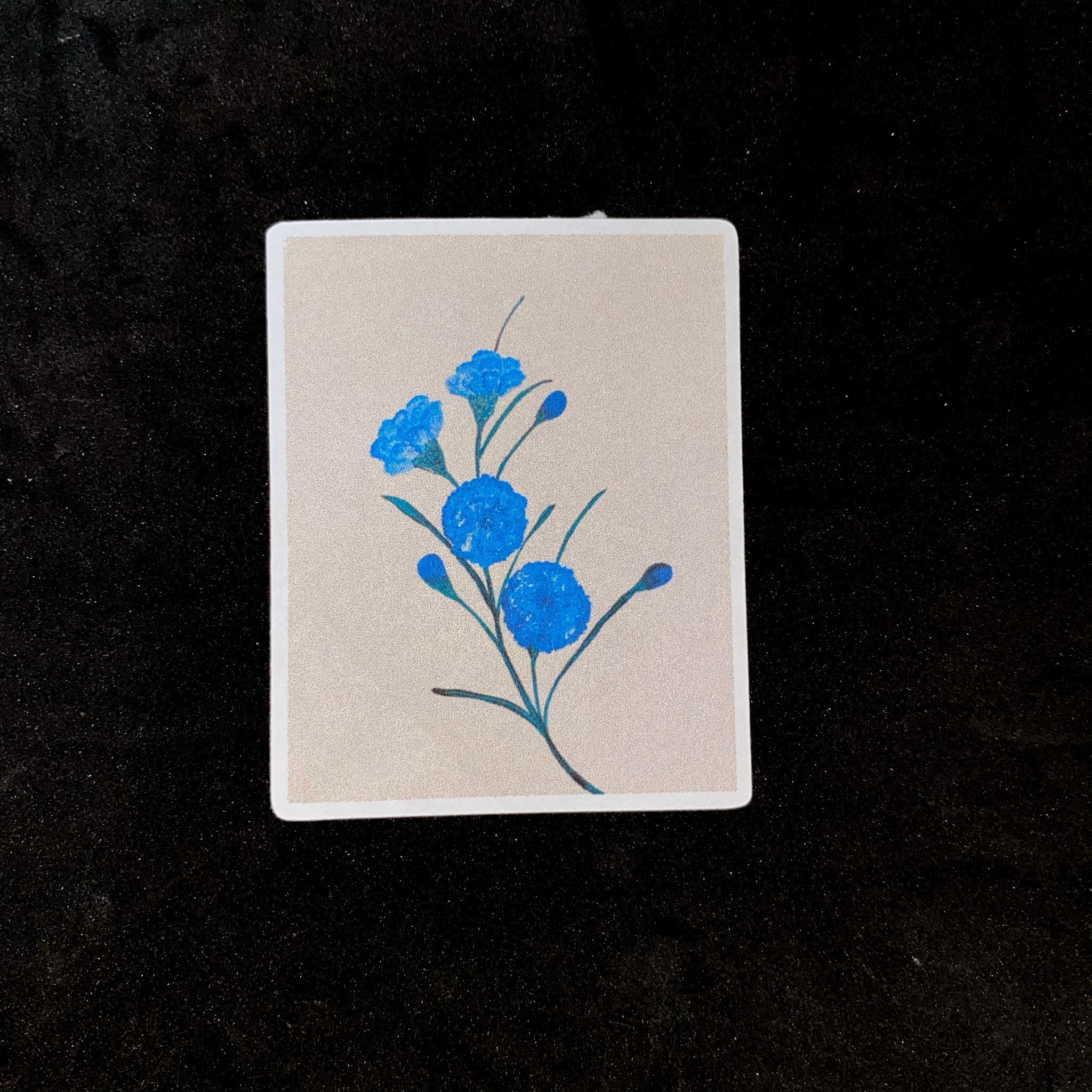 5 PCS Hand Drawn Flower Sticker Pack Botanical Stickers | Etsy