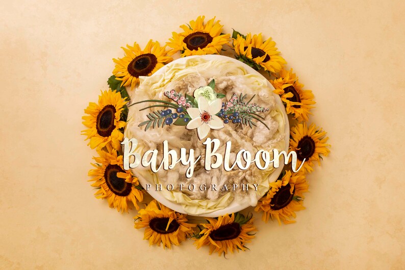 Digital Prop/Backdrop Newborn Sun Flower Bowl Instant | Etsy