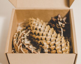 Camp fire box | Etsy