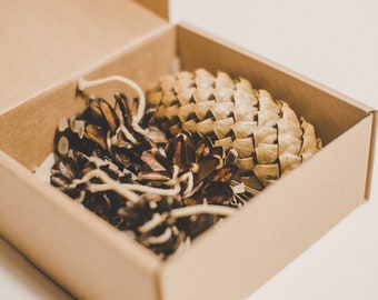 Camp fire box | Etsy