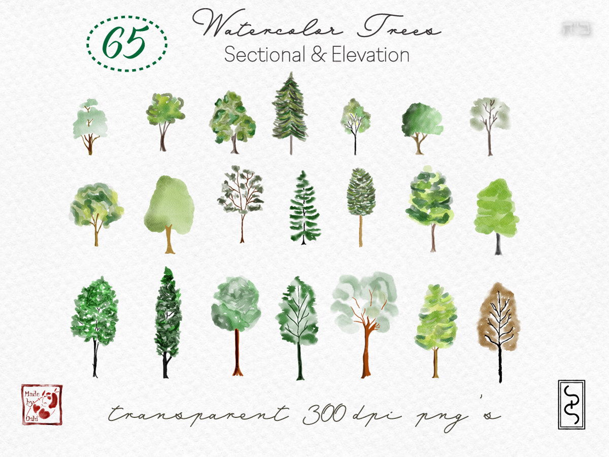 Watercolor Tree Rendering