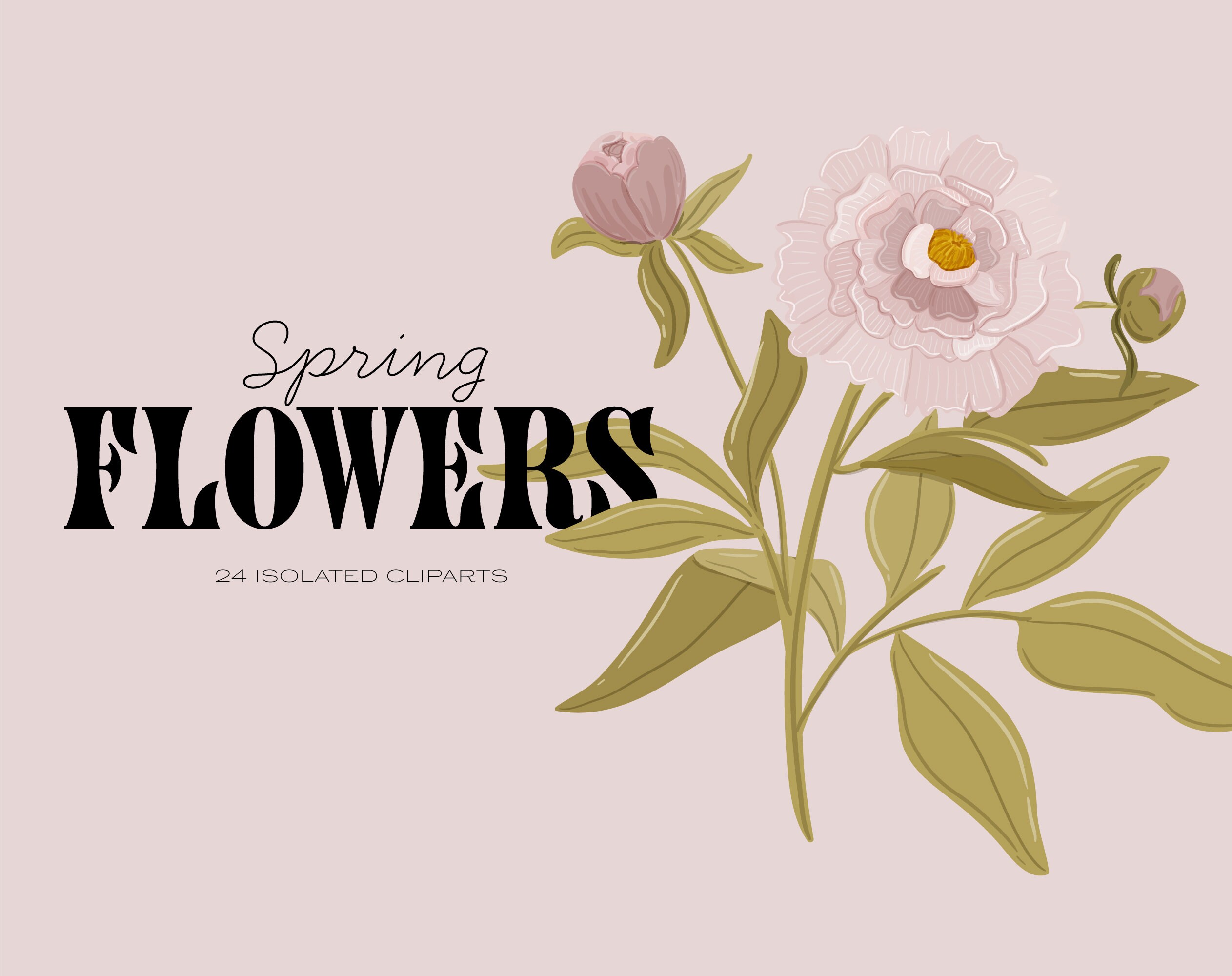 Spring Flowers Digital Clipart - Hand Drawn Floral Element, Botanical ...