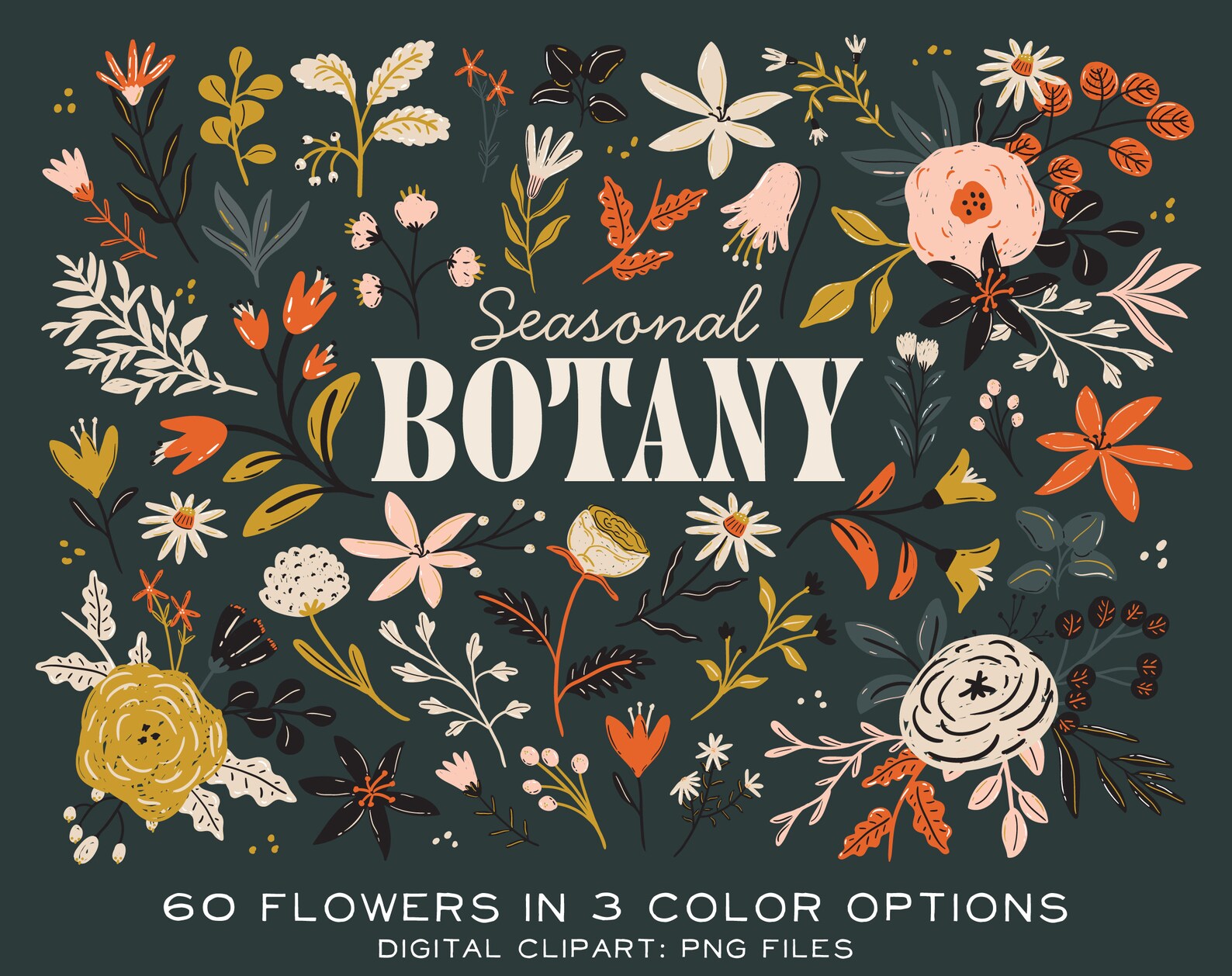 Digital Flowers Clipart PNG Hand Drawn Floral Illustration, Botanical ...