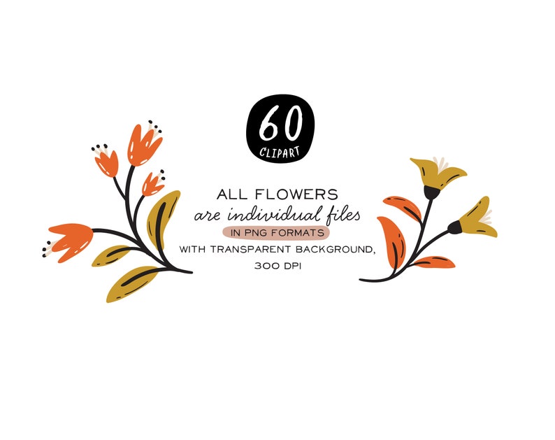 Digital Flowers Clipart PNG Hand Drawn Floral Illustration, Botanical ...