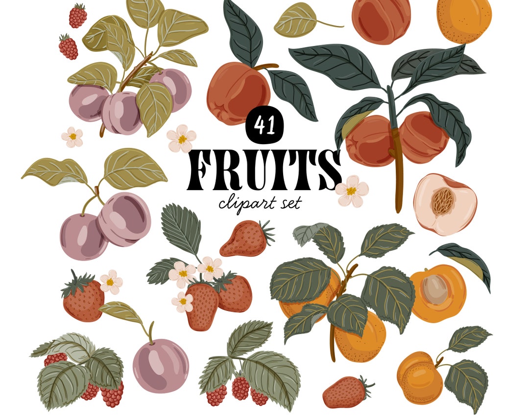 Fruits Clipart Summer Berry Strawberries Plums Apples Apricots. Digital ...