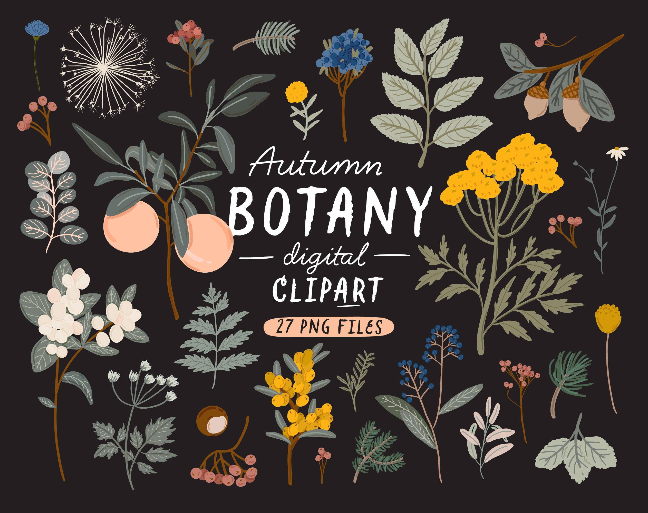 Digital Fall Botany Clipart PNG Hand Drawn Floral - Etsy