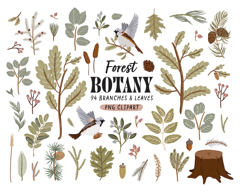 Digital Botany Clipart PNG Hand Drawn Bird Forest Flowers Leaves ...