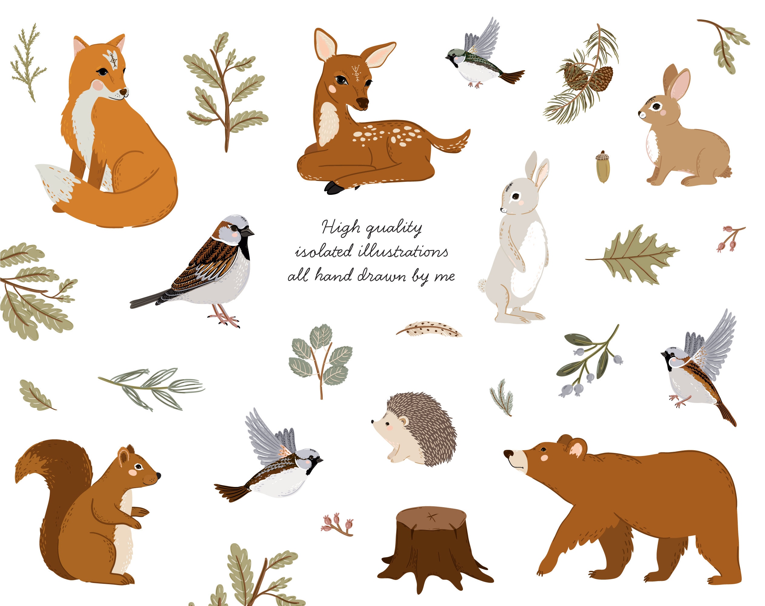 Forest Animals Clipart Birds Clip Art Botany Illustration Enchanted ...