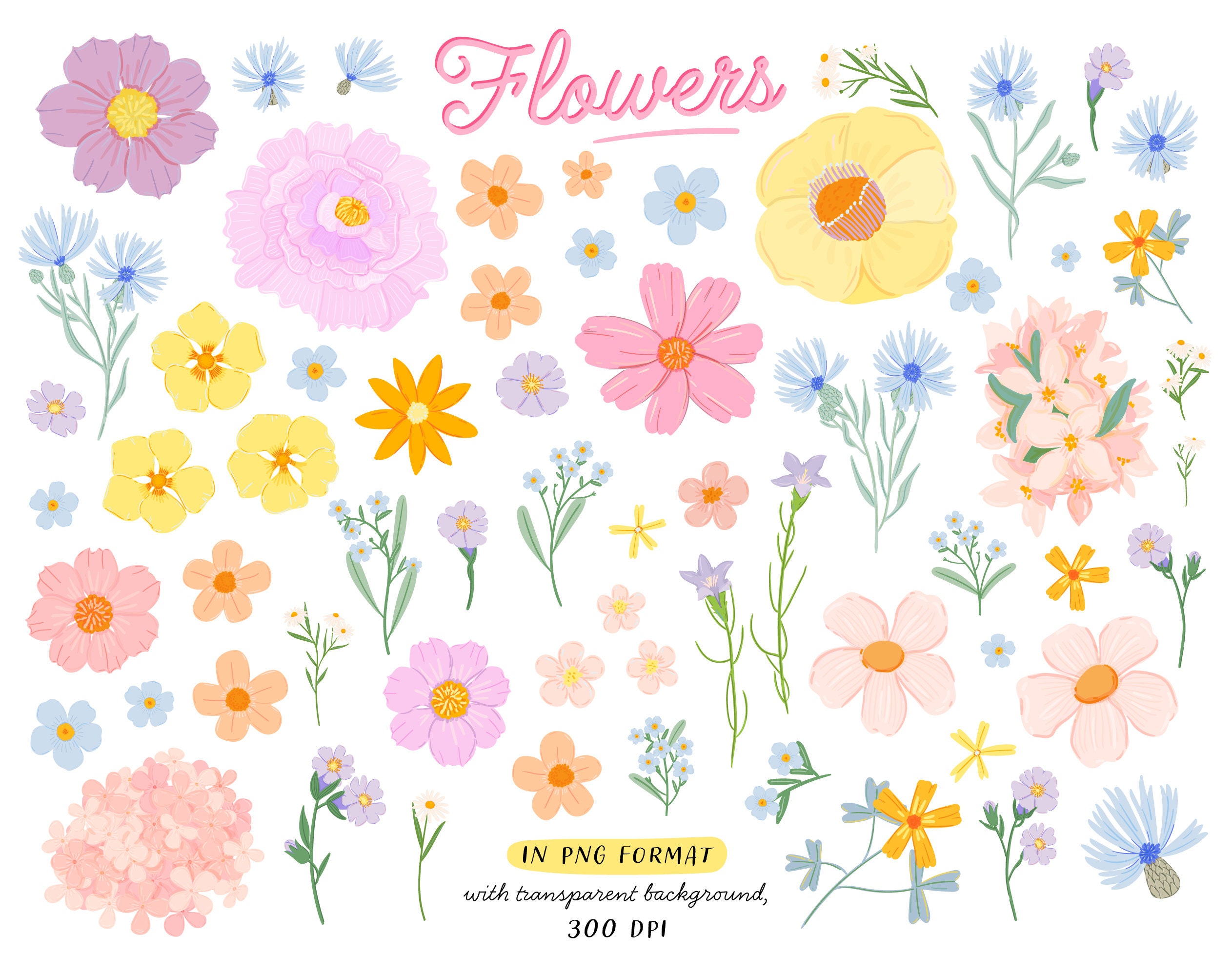 Digital Flowers Clipart, Bright Floral Clipart, Hand Drawn Summer ...