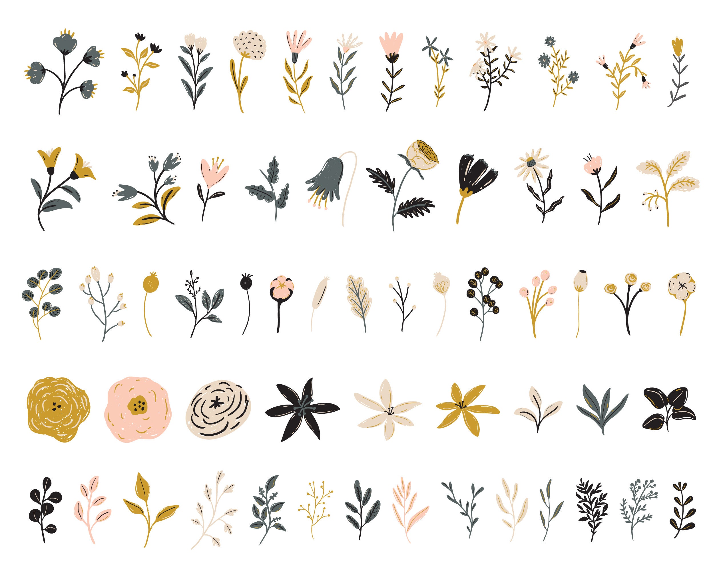 Digital Flowers Clipart PNG Hand Drawn Floral Illustration, Botanical ...