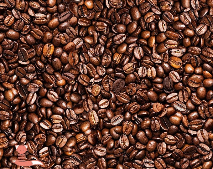 Coffee Bean Fabric, Timeless Treasures, 100% Woven Cotton, C8958 - Etsy
