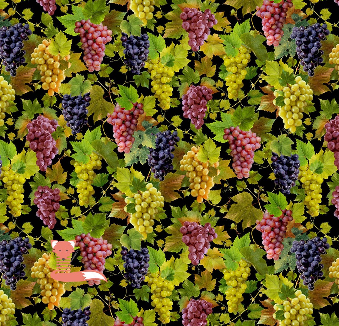 Black Grape Vines Fabric, Viva Vino, Michael Miller, 100% Cotton ...