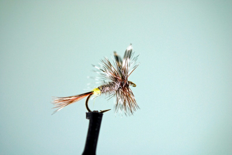 Female Adams Dry Fishing Fly - Etsy