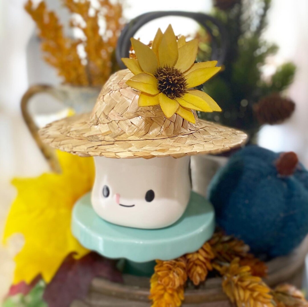 Fall /autumn Themed Marshmallow Mug Straw Farmer Hat With Beautiful ...