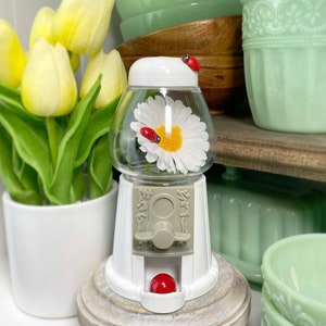 Ladybug Themed Terrarium Gumball Machine. Tiered Tray Mini Gumball ...