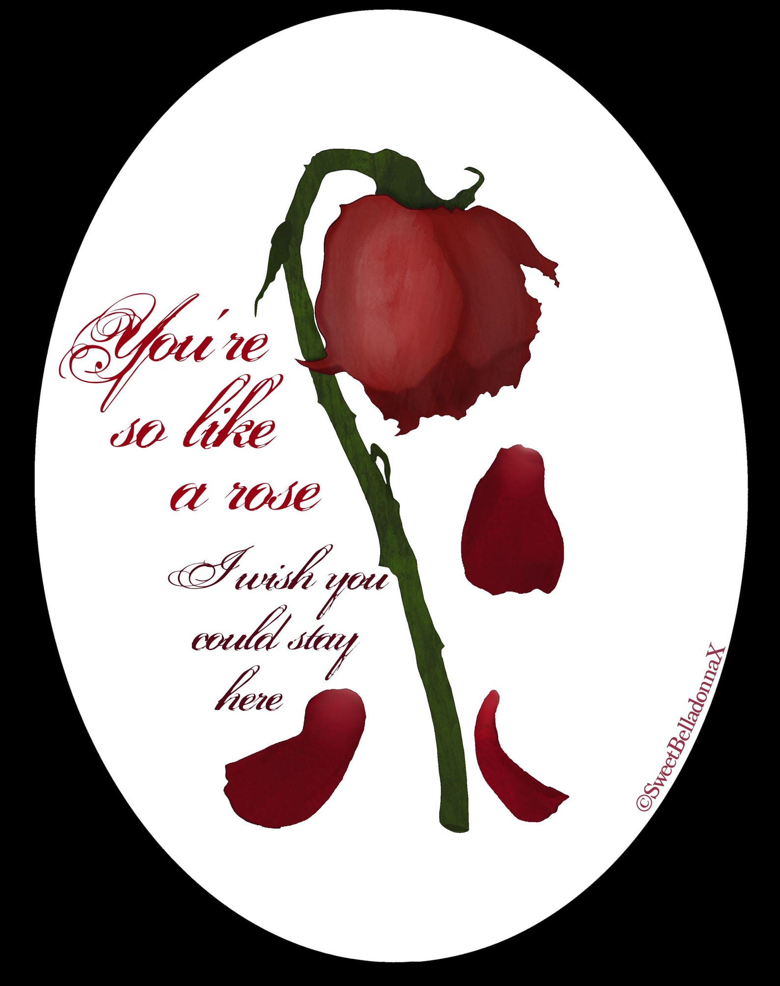 Red Wilted Rose With Falling Petals "you're so Like a Rose, I Wish You ...