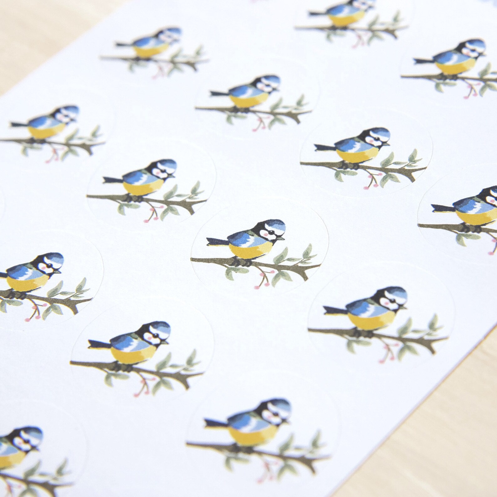 Cute Bird Stickers Stickerkitten Bird Garden Blue Tit | Etsy