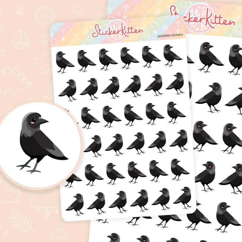 Jackdaw - Etsy