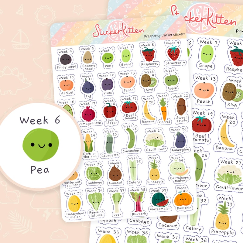 Fruit Stickers - Etsy