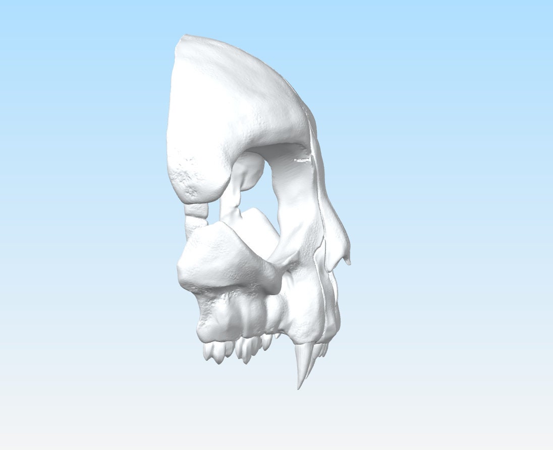 Skull Mask Demon Mask Demon Skull Mask Halloween Mask | Etsy