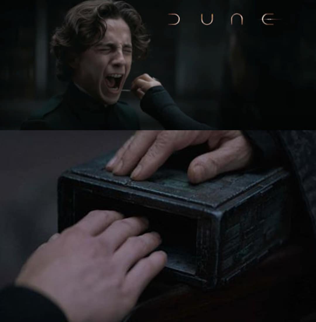 Dune Box of Pain Replica 3d-printed DIY Cosplay Accessory Kit in 3 ...