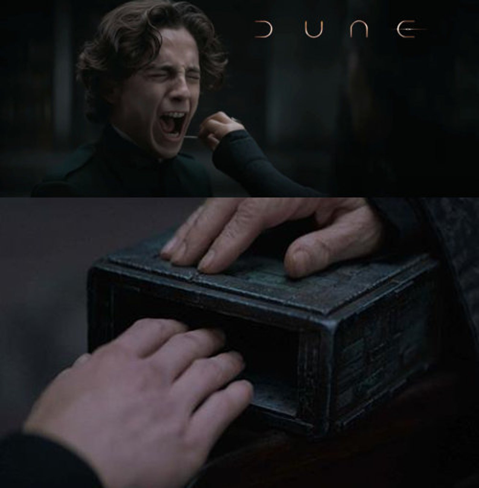 Dune Box of Pain Replica - 3d-printed DIY Cosplay Accessory Kit in 3 ...