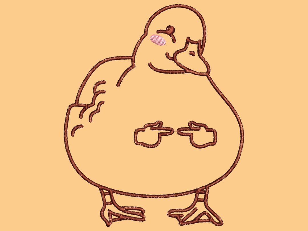 Is This for Me Duck T-shirt Sweater or Hoodie | Cute Meme Clothing ...