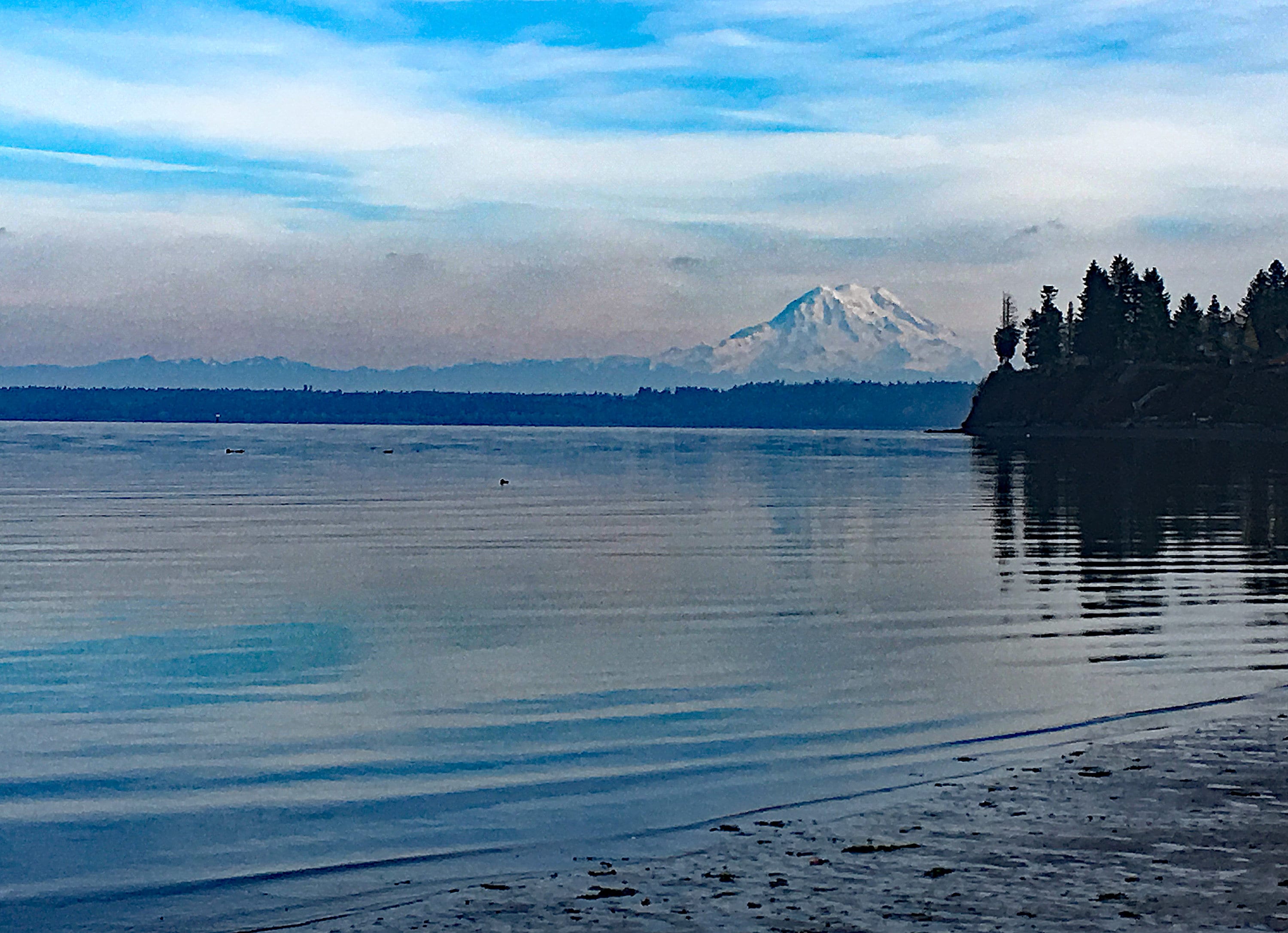 Tolmie State Park Olympia Washington Beach Mt. Rainier Wrapped Canvas ...