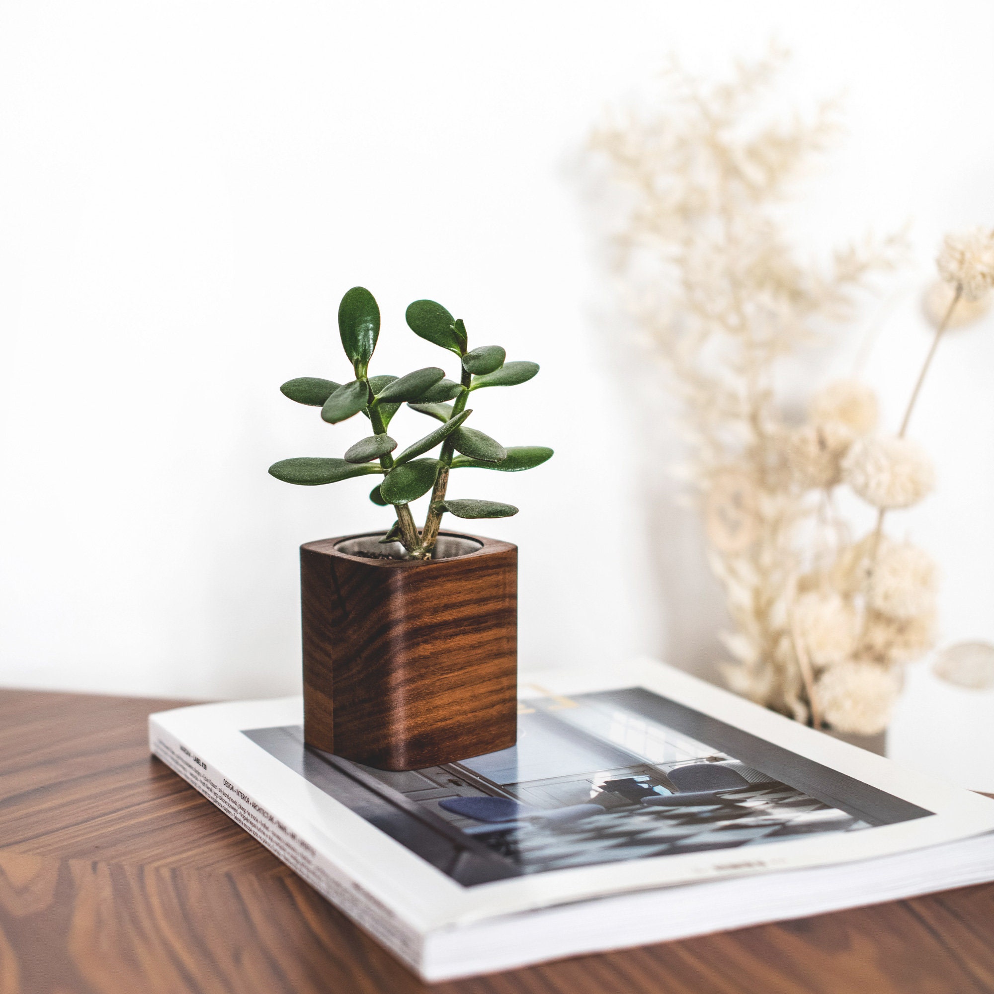 Handmade Wooden Succulent Planter: Small Cubic Plant Pot - Etsy