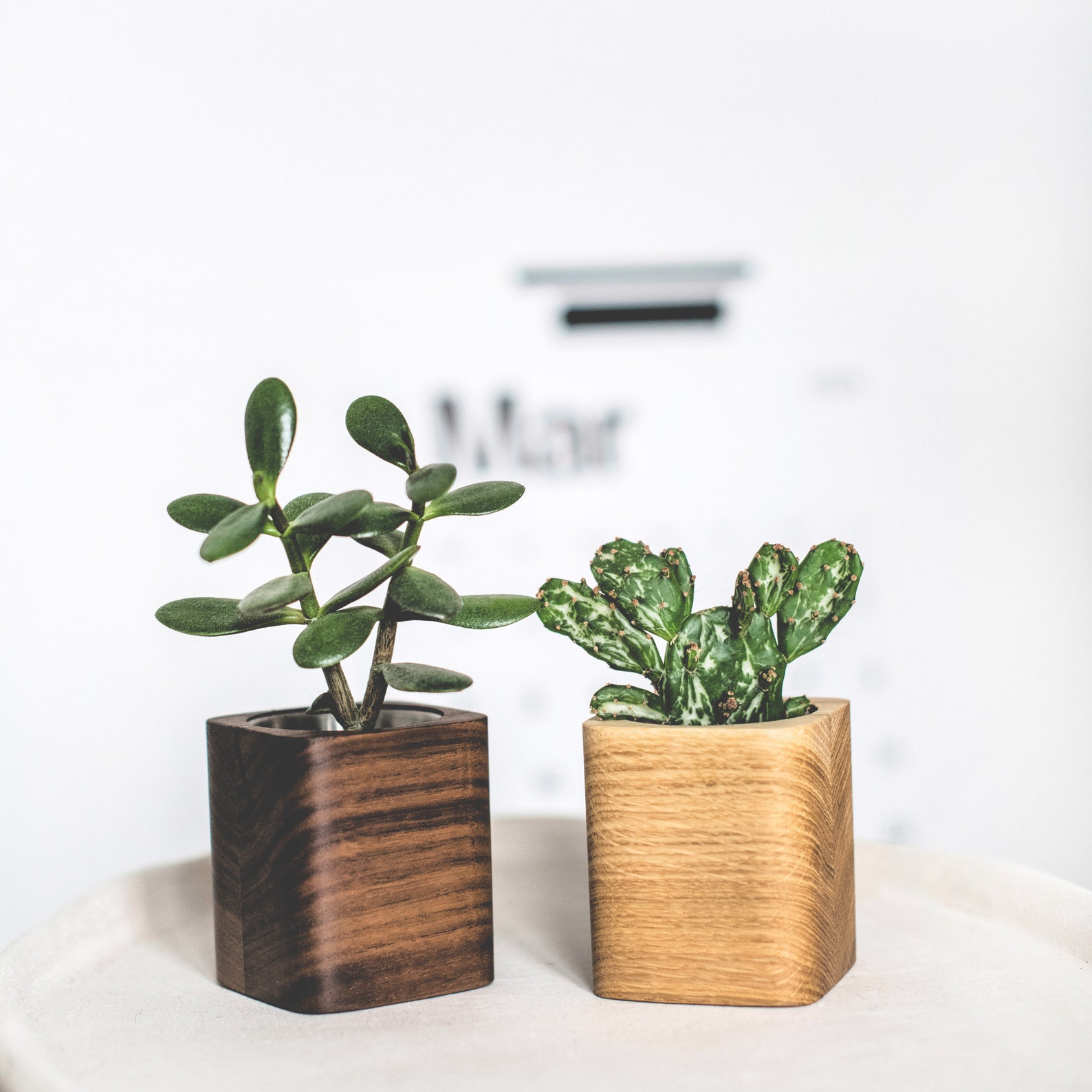 Handmade Wooden Succulent Planter: Small Cubic Plant Pot - Etsy