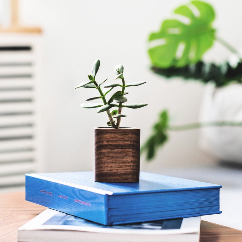Handmade Wooden Succulent Planter: Small Cubic Plant Pot - Etsy