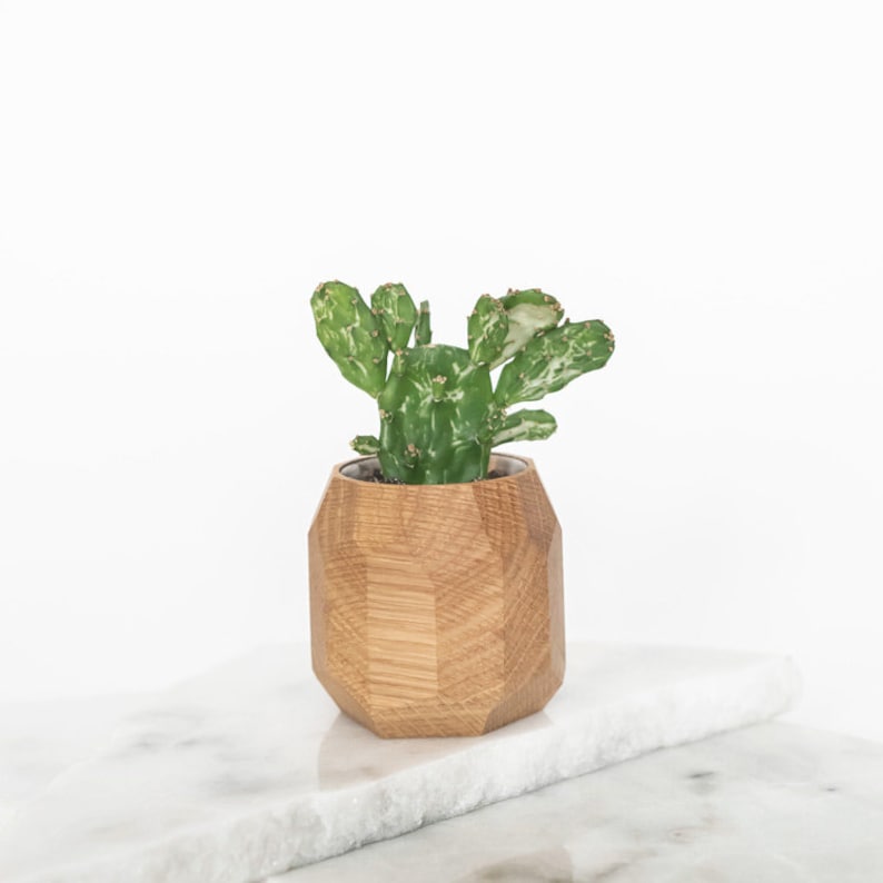 Geometric Wooden Succulent Planter: Small Desk Organizer - Etsy