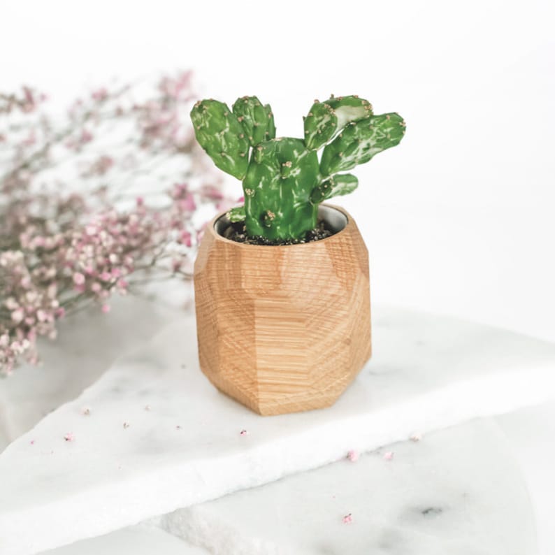 Geometric Wooden Succulent Planter: Small Desk Organizer - Etsy